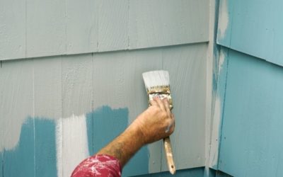 Understanding How Home Paint Is Made